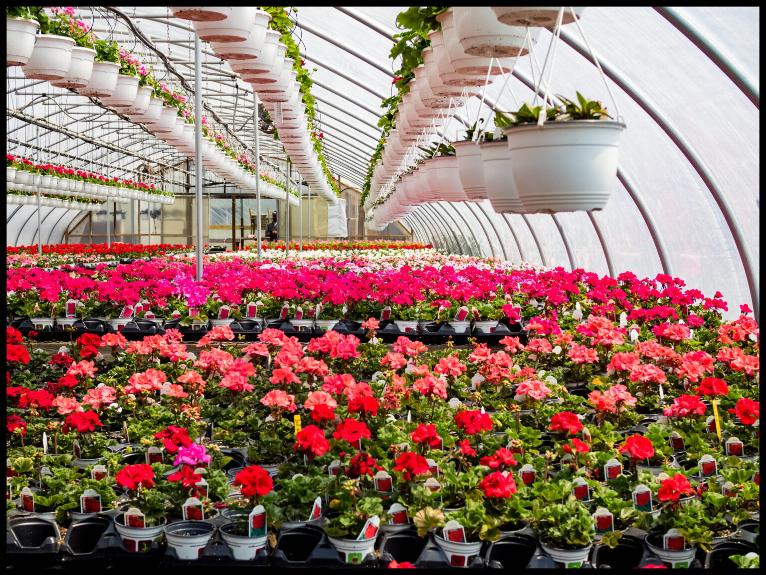 White Post Farms of Melville - Our Garden Center